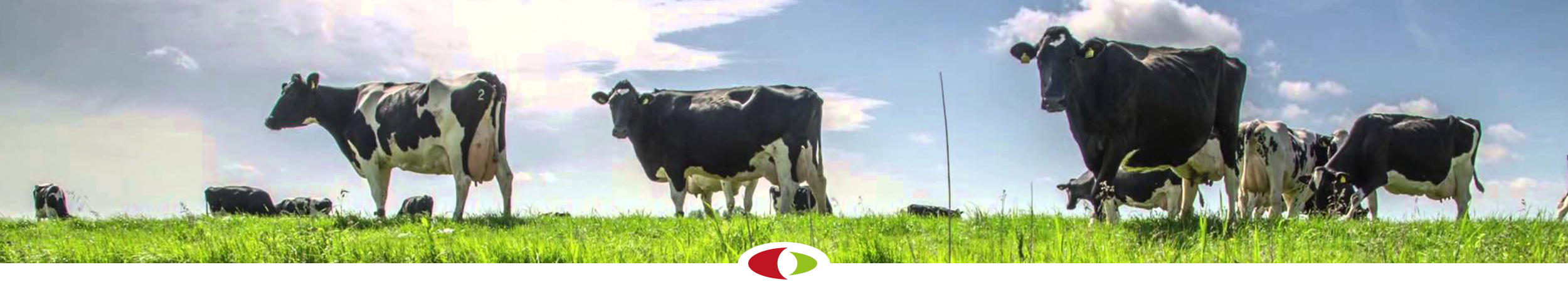 Arjen Dijkstra - Dijkstra Agrimarketing